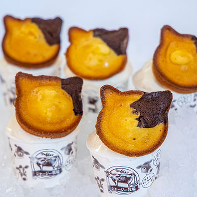 JTB－50 | ギフト - モクモクショップ